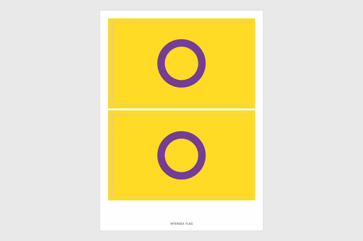 Intersex Flag Sticker, Weatherproof Vinyl Intersexual Sexuality Flag S ...